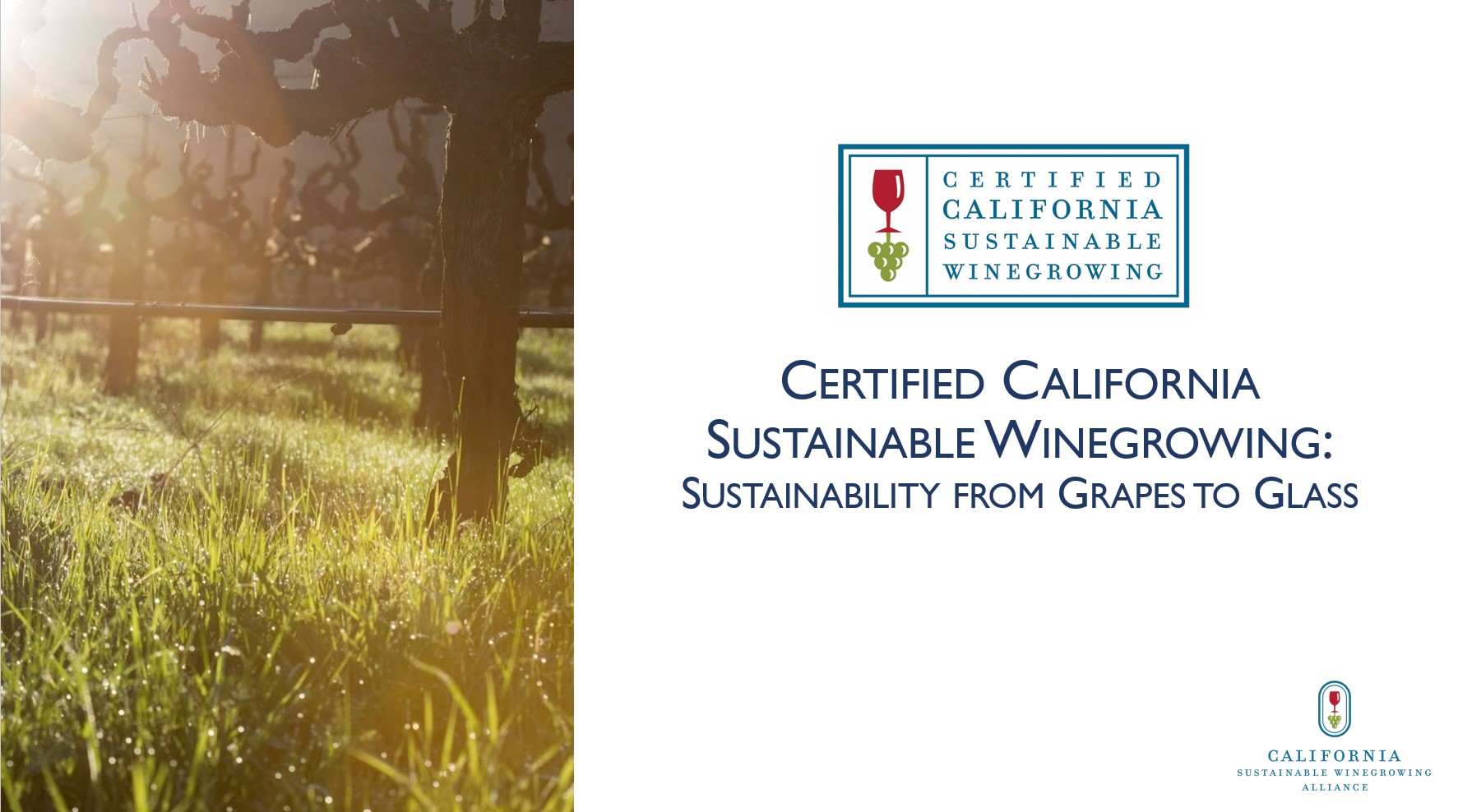 CSWA Resource Library